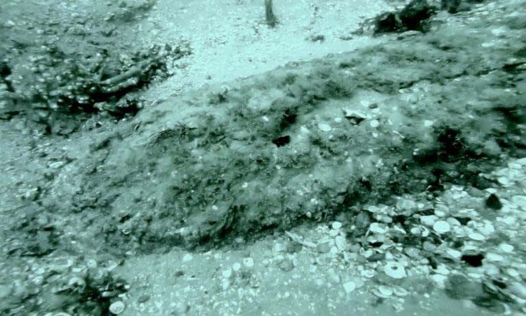 Navy divers detonate WW2 bomb off Guernsey - UXO News - RMS UXO Limited